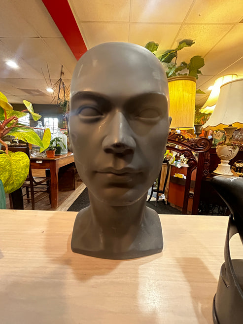 Manny Quin – Blue Goose - Plant and House